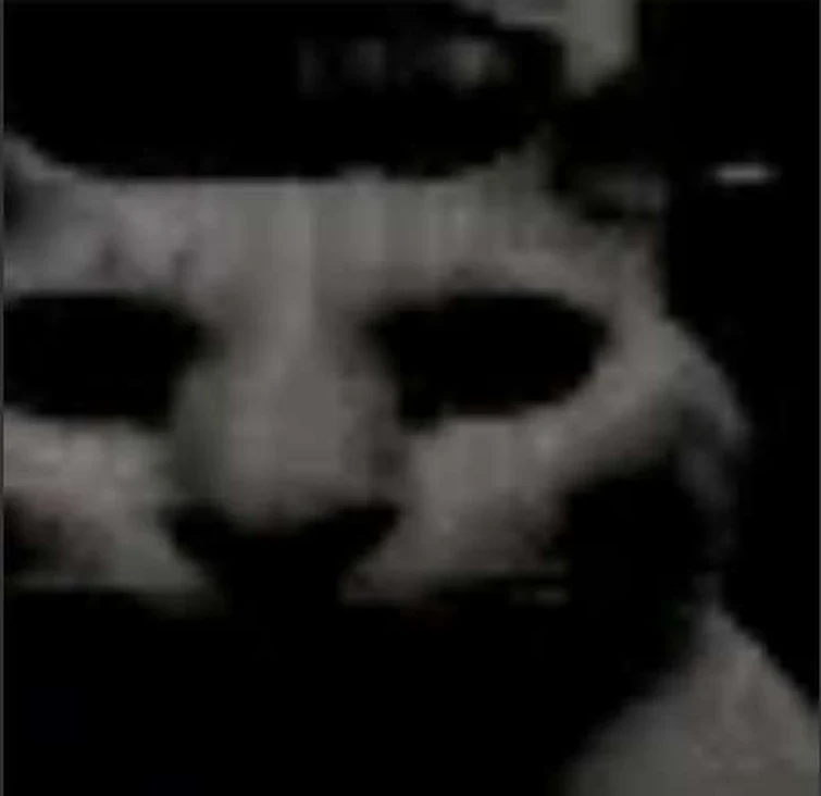 Im sorry even tho Rocc isnt in the right. | Fandom