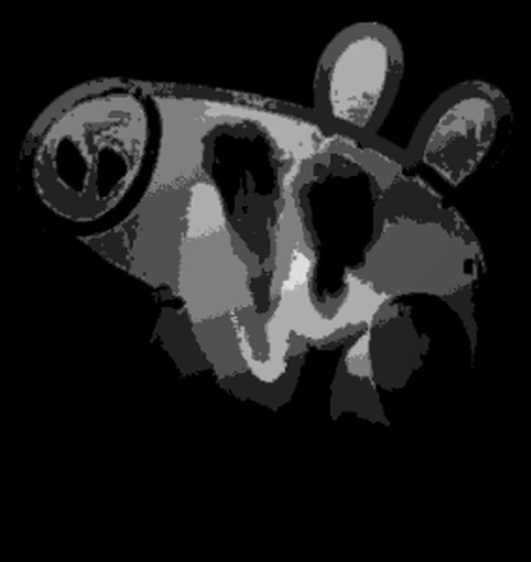 Discuss Everything About Lost Episode Creepypasta Wiki | Fandom