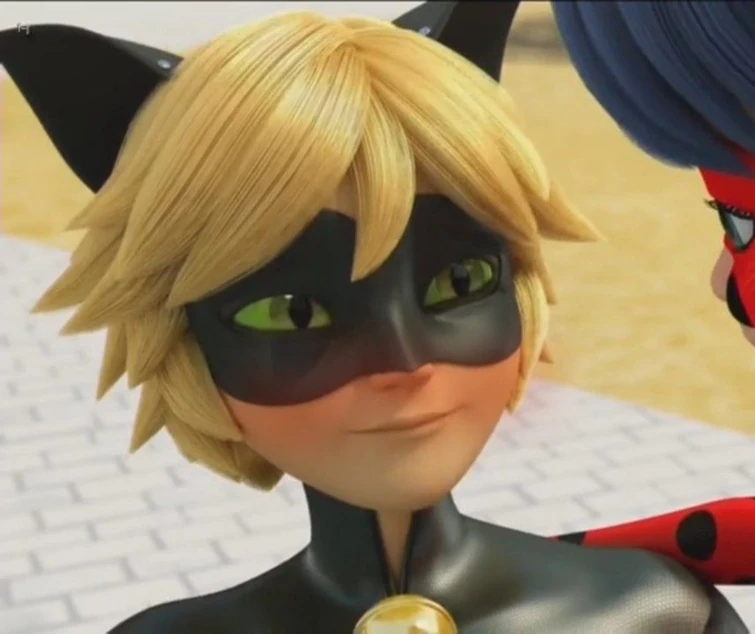 Chat Noir blushing 😳💖😻 | Fandom
