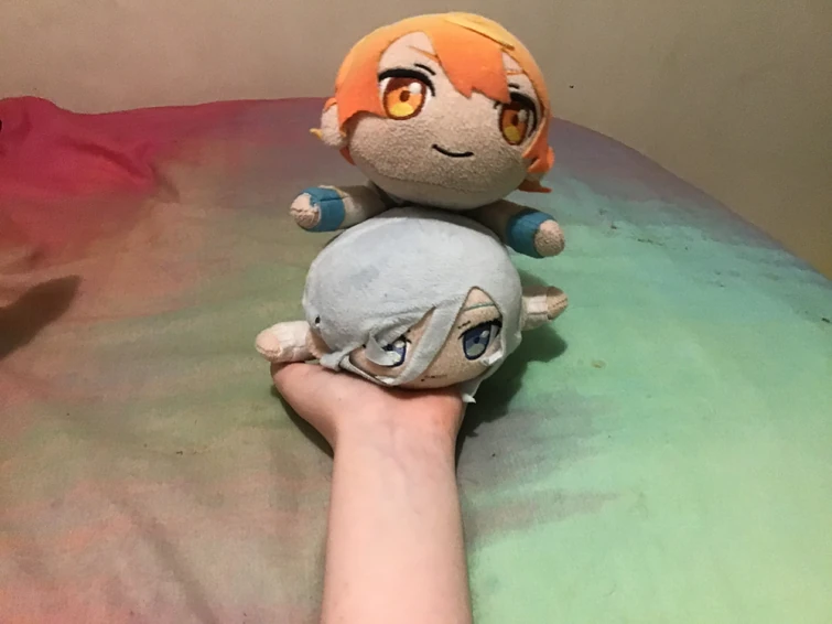 WONDERHOY TIME~! | Fandom