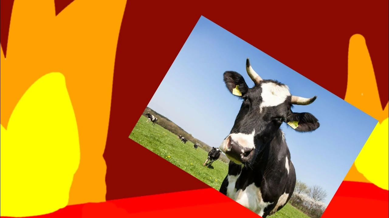 About Mooing Time! (Trailer) | Fandom