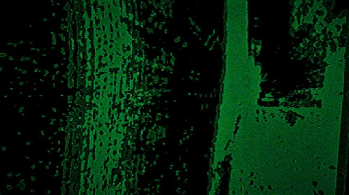 Green World | Fandom