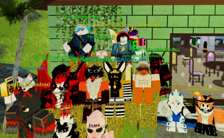 Photos I took at a furry hangout | Fandom