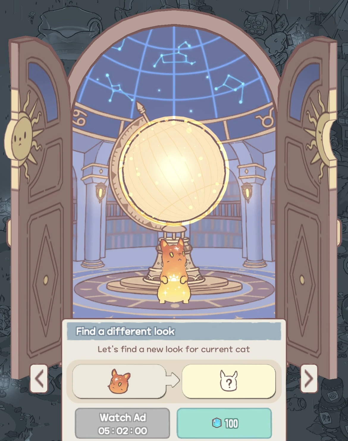 Sunset kitty | Fandom