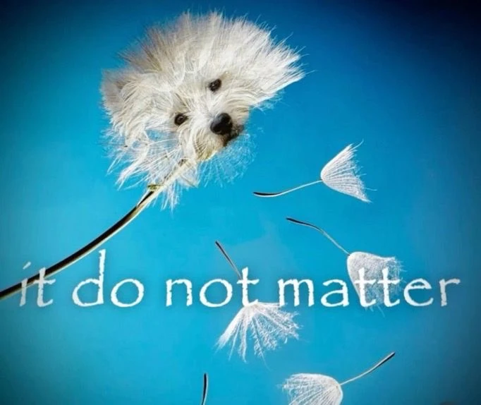 cough, TPOT 19 SPOILERS | Fandom