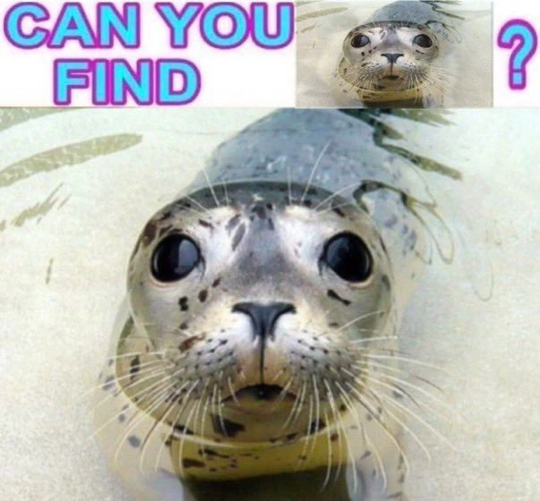 weekly off topic thread #15 (11/22-11/29) | Fandom