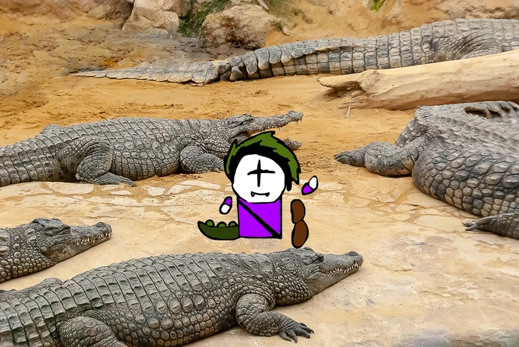 AM BACK FROM MY NAP | Fandom