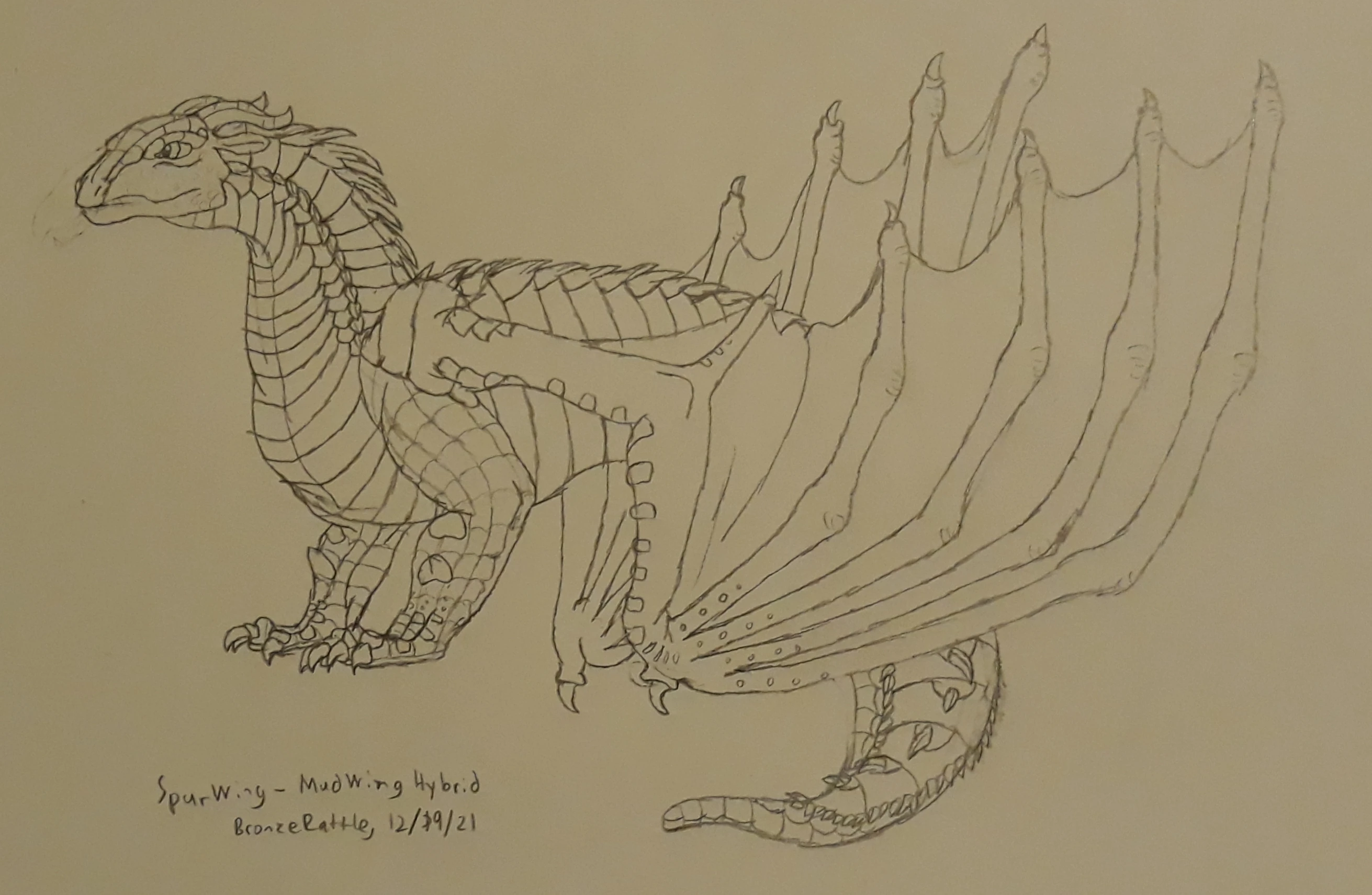 SpurWing-MudWing hybrid | Fandom