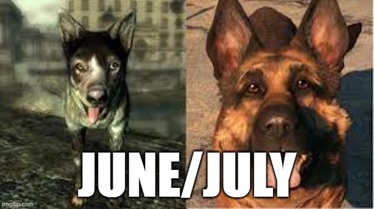 Your birth month = your fallout 4 soulmate | Fandom