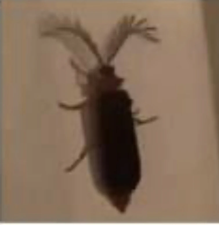 My imaginary Ala I created :_: | Fandom