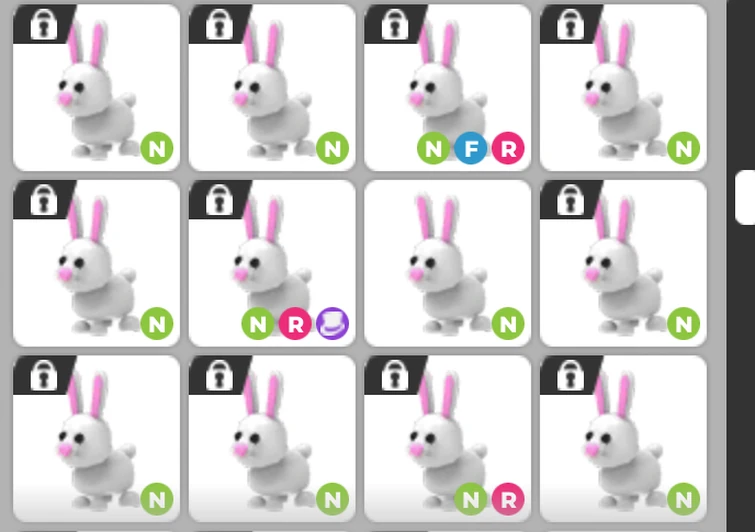 Discuss Everything About Adopt Me! Wiki | Fandom