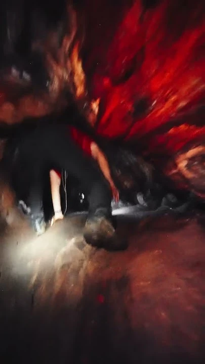 bfdia20 cake at stake area leaked | Fandom