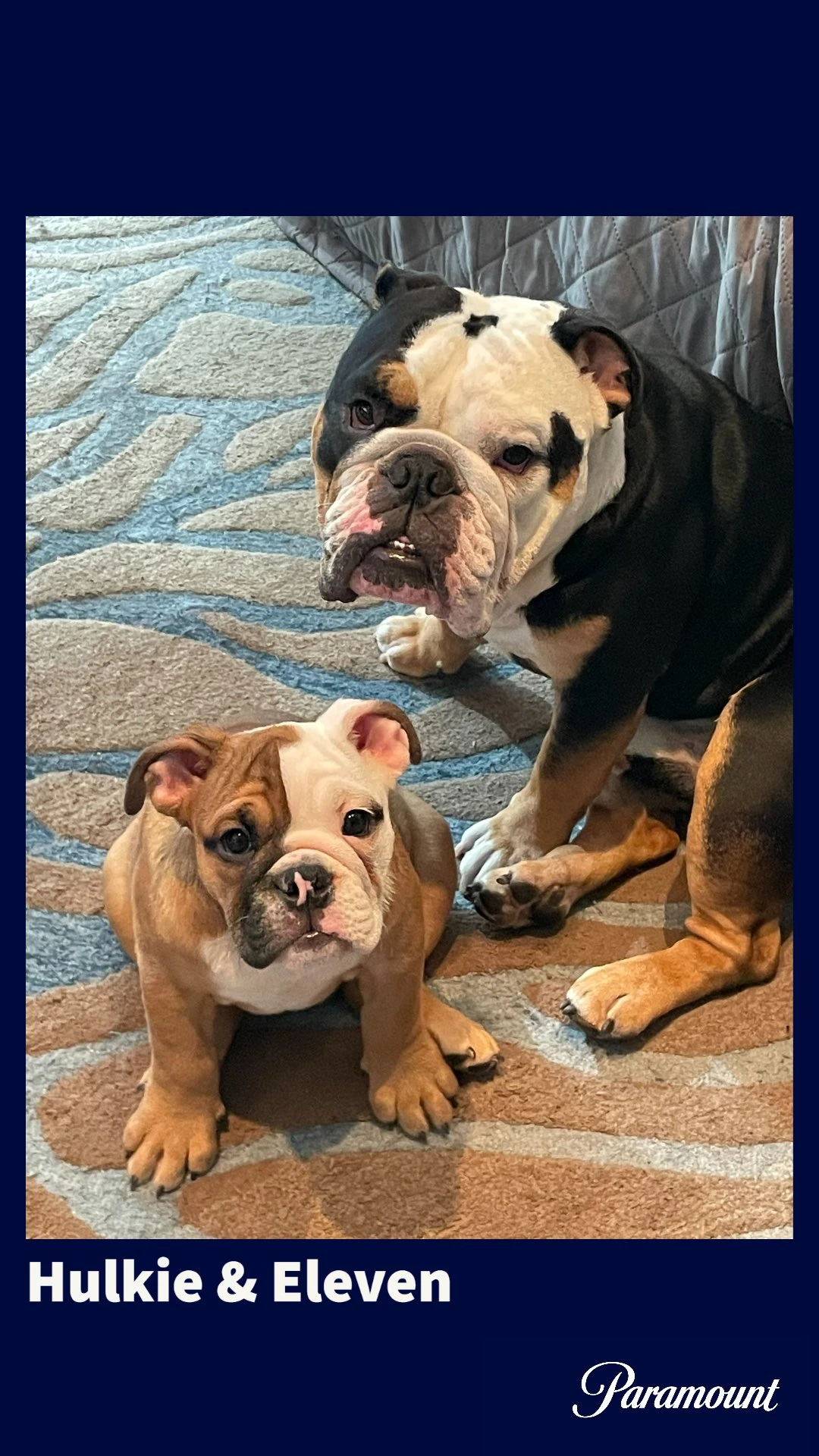 Happy National Puppy Day from Paramount | Fandom