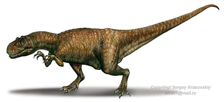 Dinosaur battle:fast monster special megalosauridae edition | Fandom