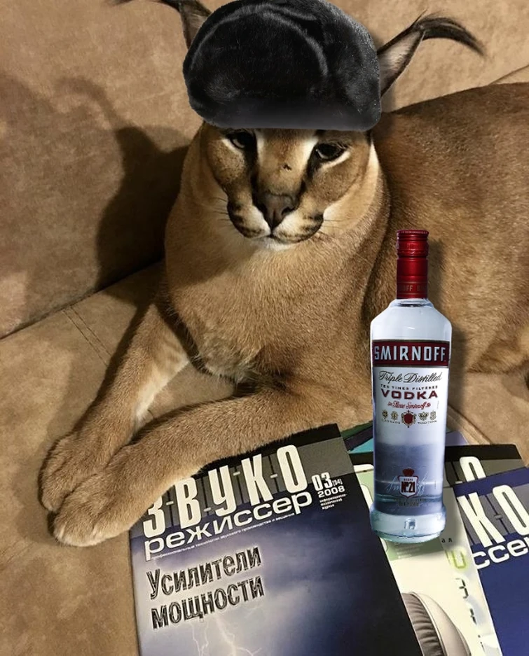 A picture for a kgb character | Fandom