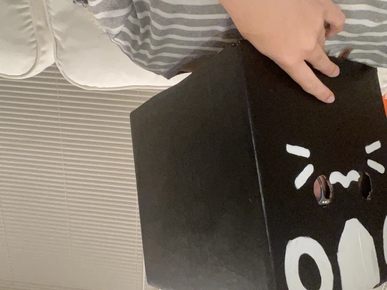 I wear my box casually. | Fandom