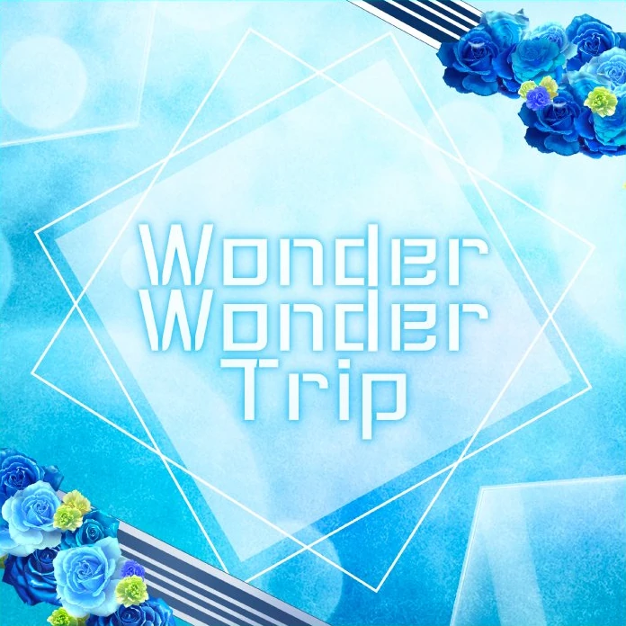 Wonder Wonder Trip | Dig Delight Direct Drive DJ Wiki | Fandom