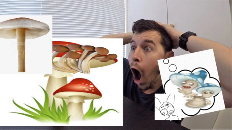 msm wiki fandom when they see a mushroom | Fandom