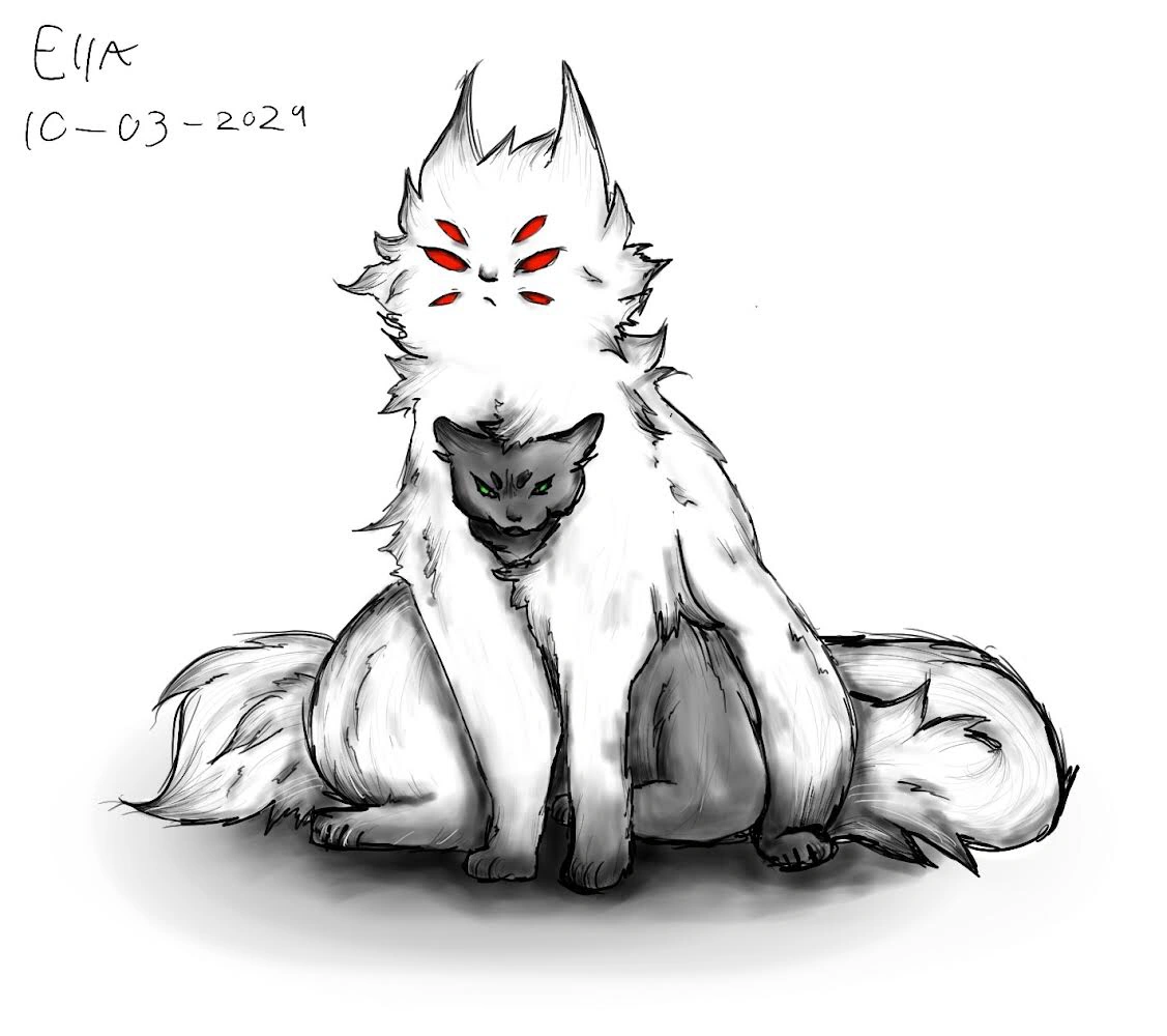 Drawing of Cat-koku | Fandom