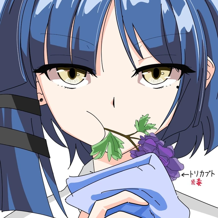 RAH. (pfp change) | Fandom