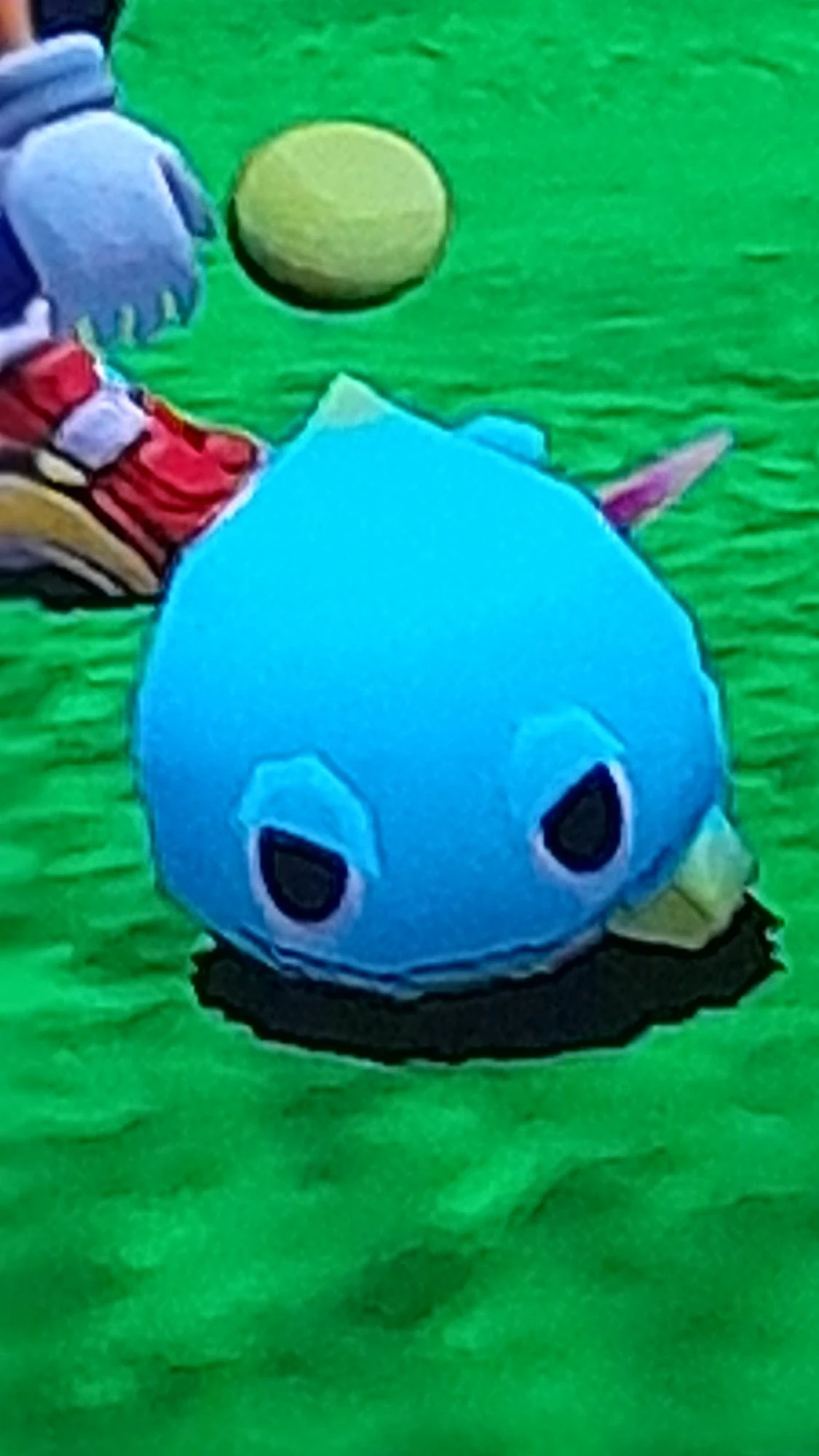 Just Hatched My Very First Chao, What Should I Name Him | Fandom