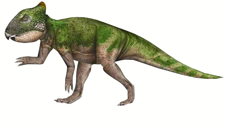 What Archinax Is? | Fandom