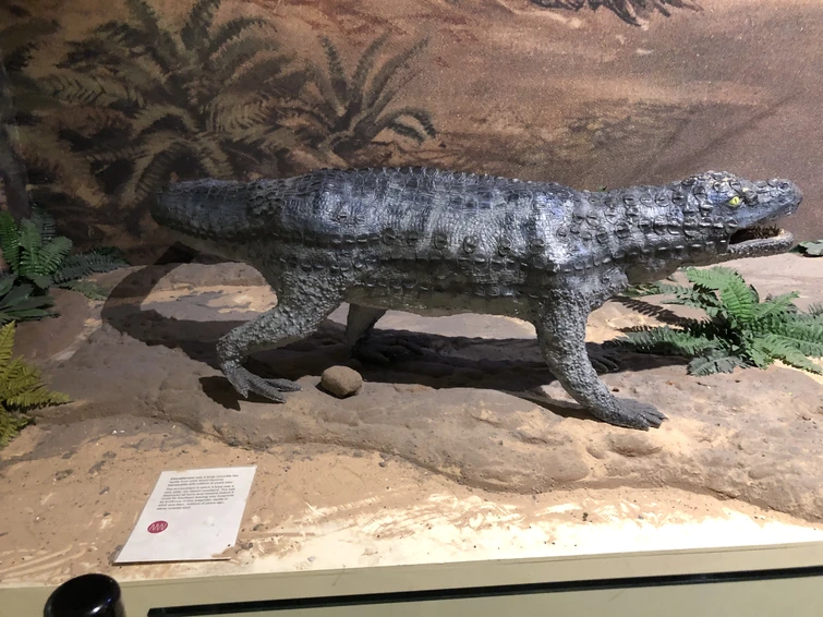 What was Chirotherium? | Fandom