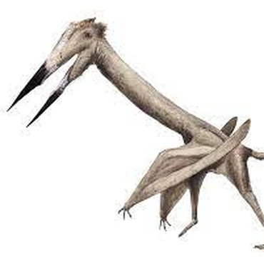 Discuss Everything About Jurassic Park Wiki | Fandom