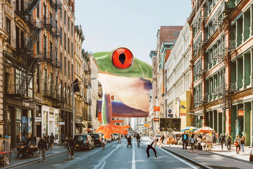 Frogzilla | D4NK Wiki | Fandom