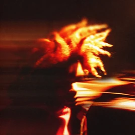 Withering | D4vd Wiki | Fandom