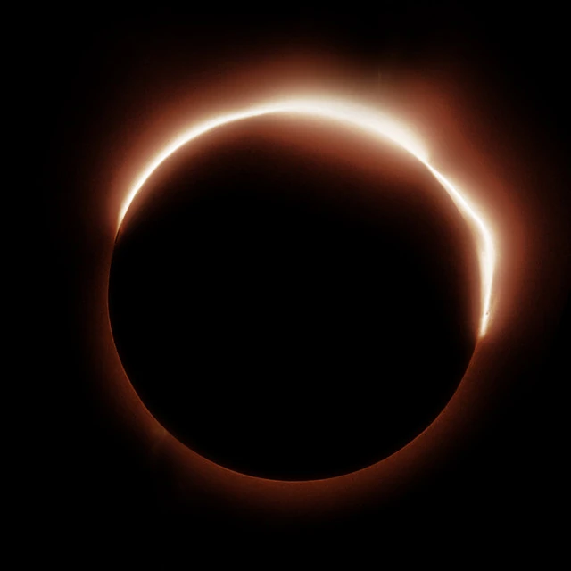 Take Me To The Sun | D4vd Wiki | Fandom