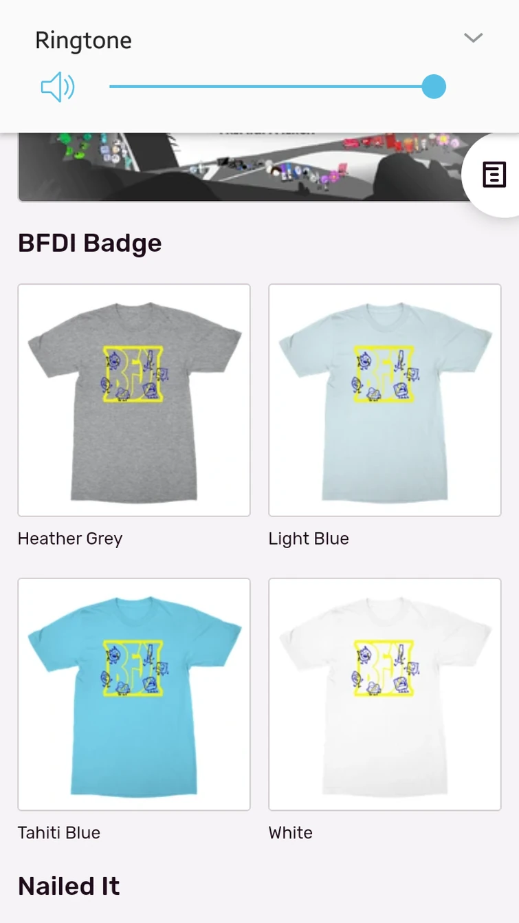 Ranking BfDI merch because I can't get any myself part 2: Premium merch ...