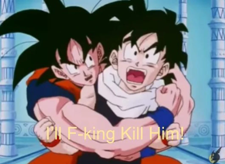 Calm down, Gohan! (TFS) | Fandom