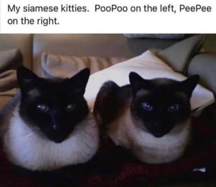 Slight delay | Fandom