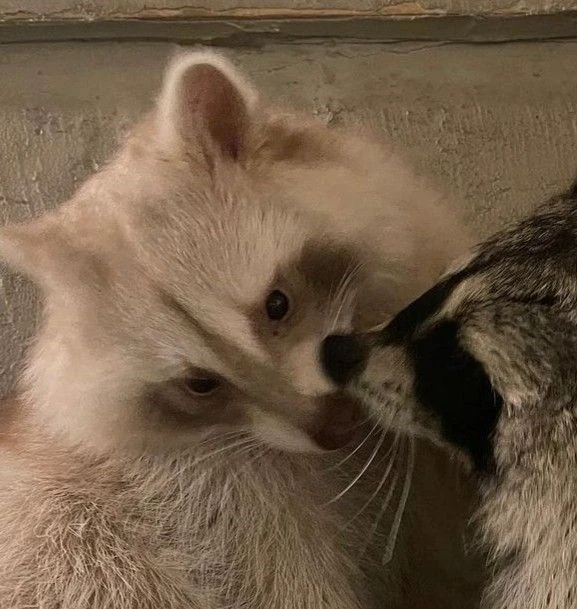 Matching pfps | Fandom