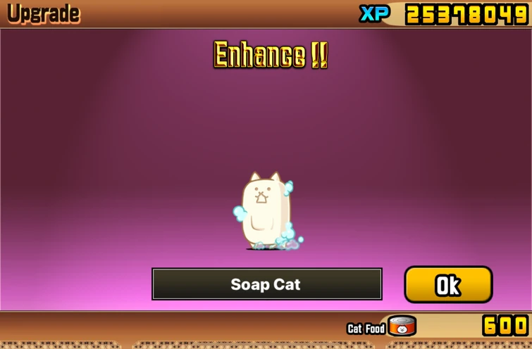 Soap Cat obtained!! | Fandom
