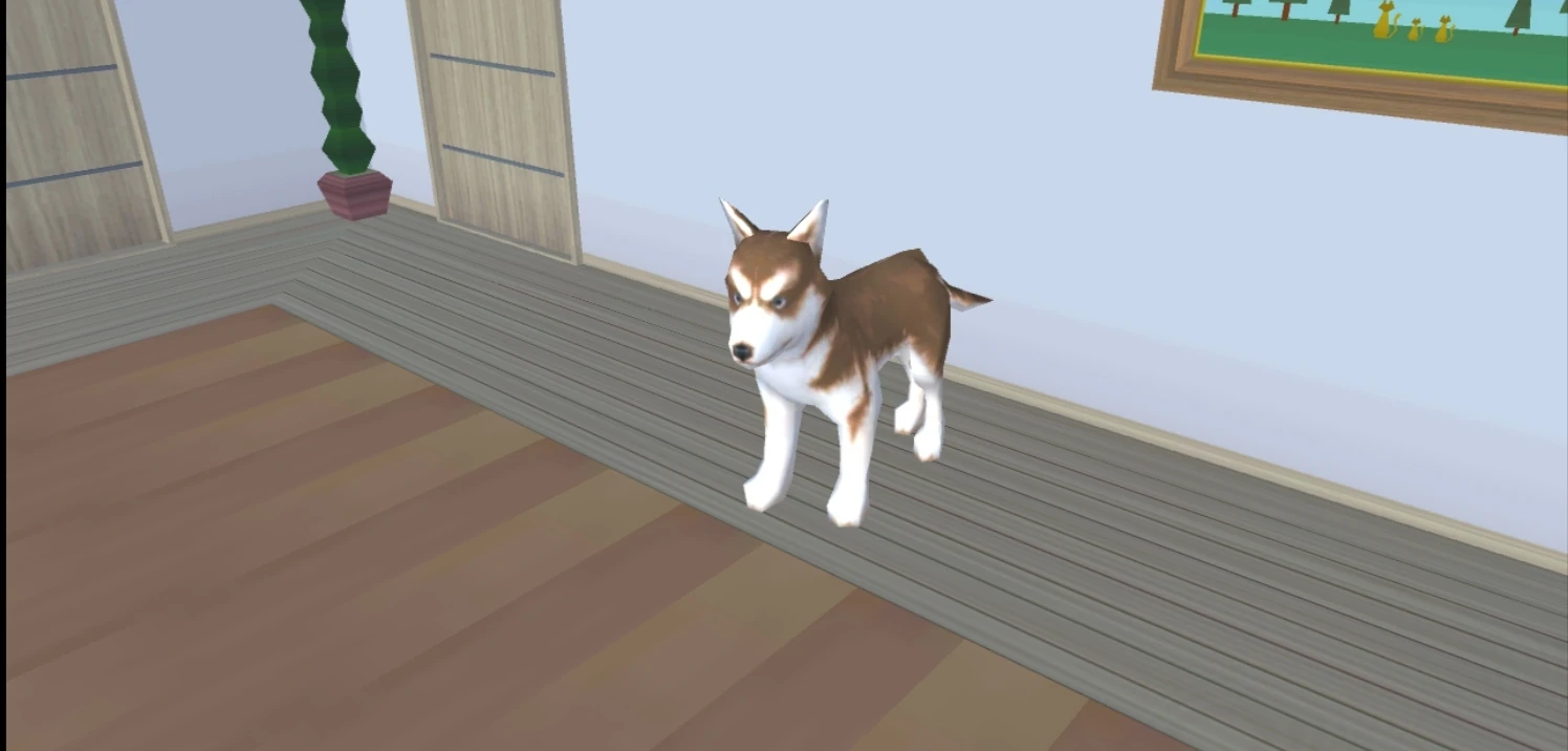 How not shiba inu, its that husky in japan? | Fandom