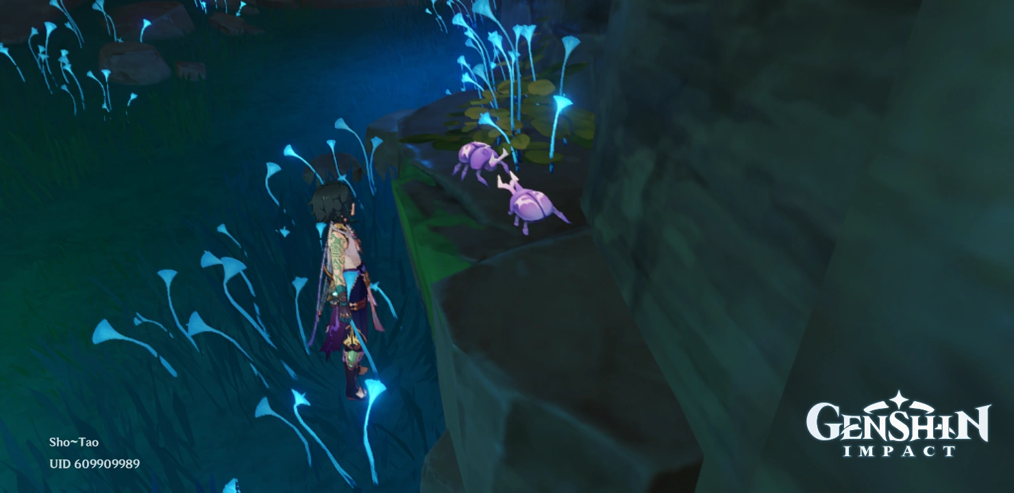 Beetle fight?! | Fandom