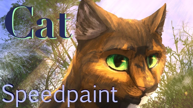 I drew one of my cats, Lulu, on Procreate (Speedpaint included-linked ...