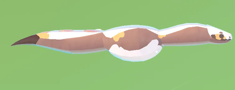 How To Cook & Prepare A Koini | Fandom