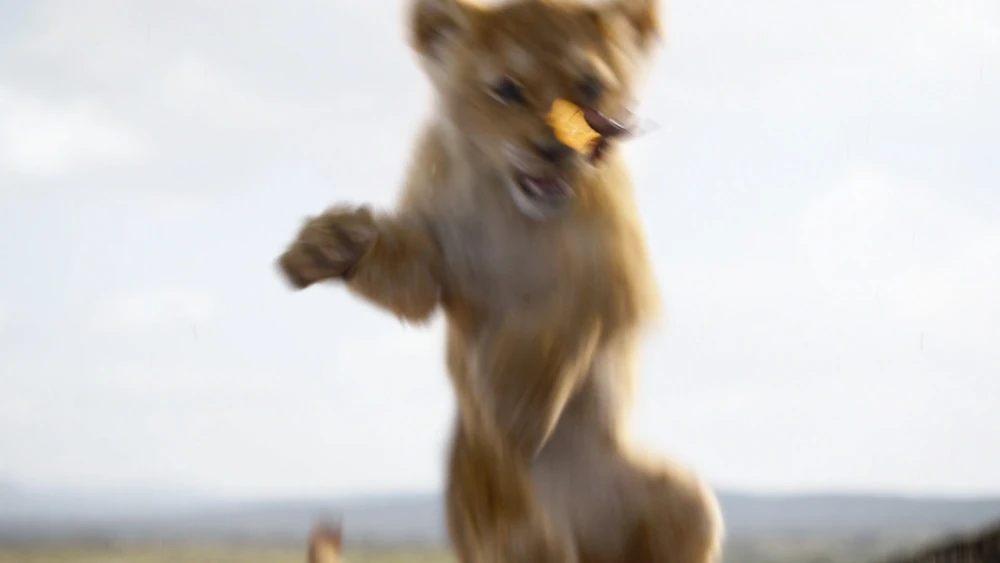 Simba Jumpscare | Fandom