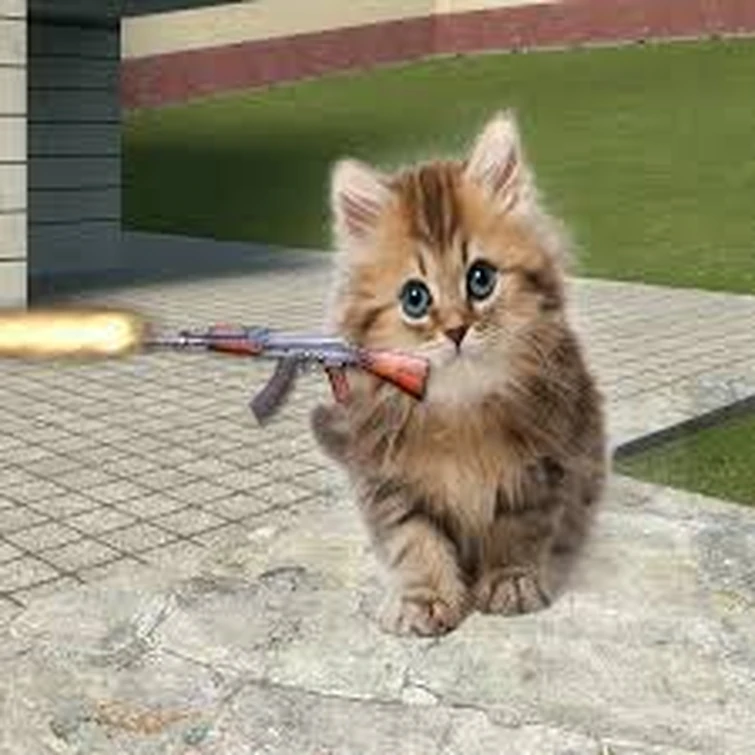 SOMEONE PLEASE EXPLAIN THIS | Fandom