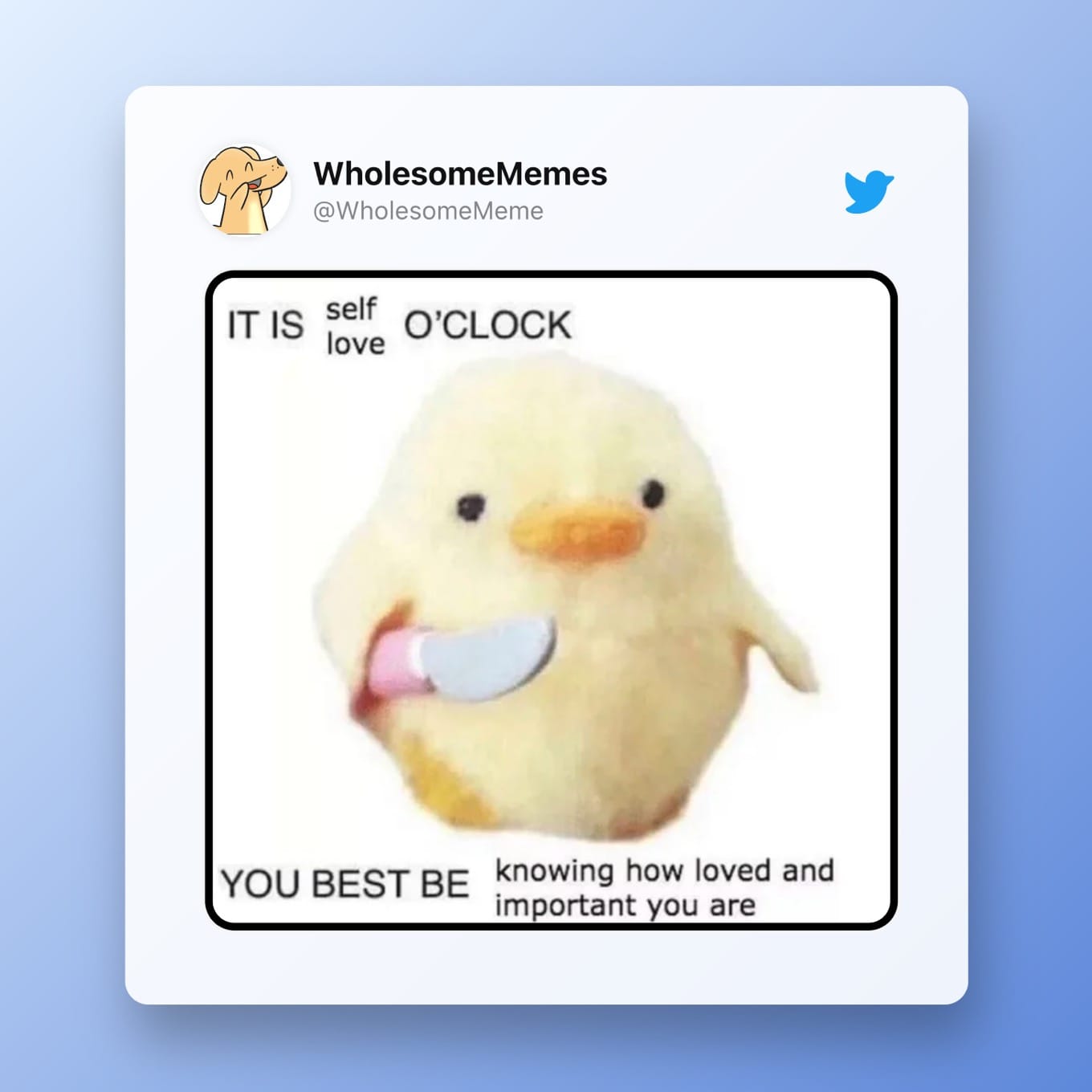 Send Some Wholesome Memes We All Need Them Fandom