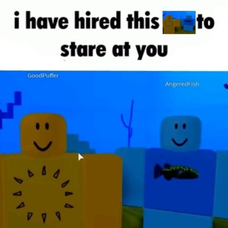 grrr i hate my pufferfish, hes such a bad puffer | Fandom