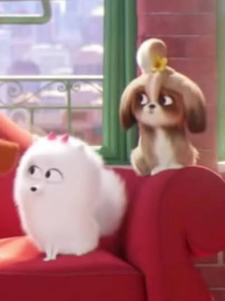 Gidget and Daisy | Fandom