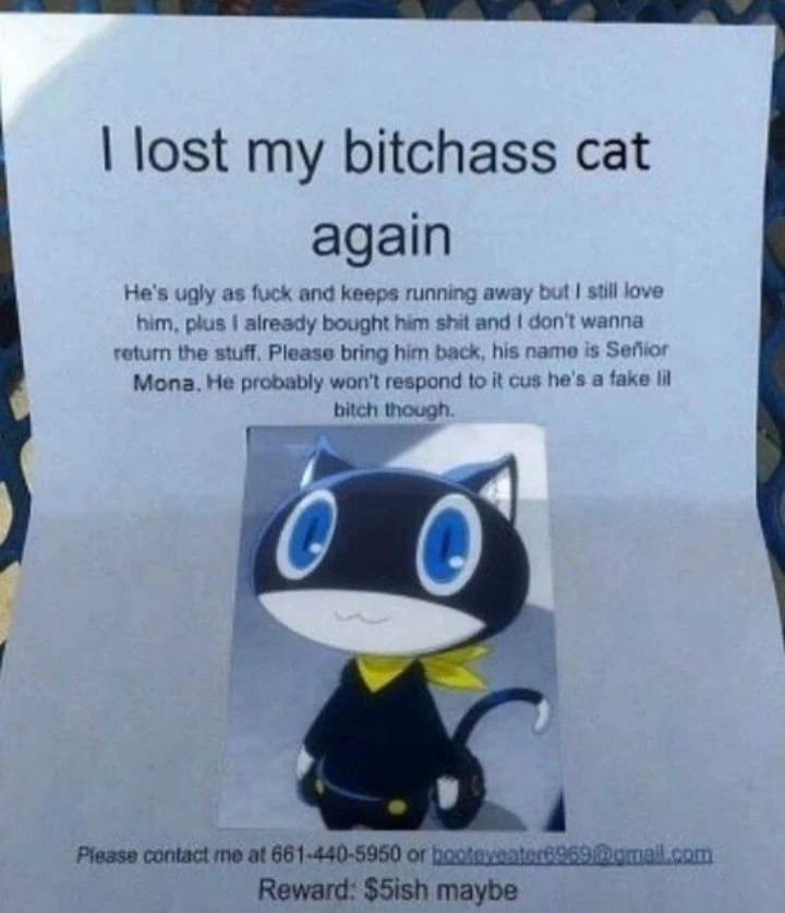 Persona memes the world needs | Fandom