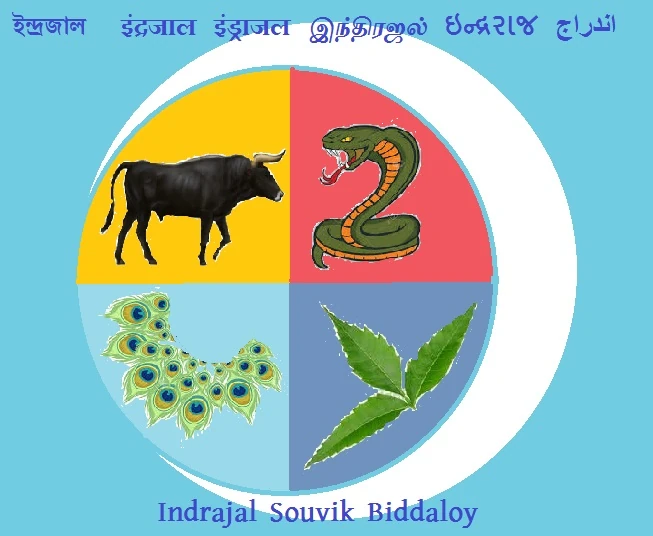 The Logo of Indrajal Souvik Biddaloy | Fandom