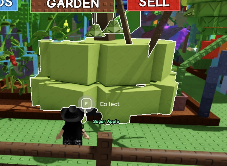 BIGGEST SUGAR APPLE W/O SPRINKLER? | Fandom