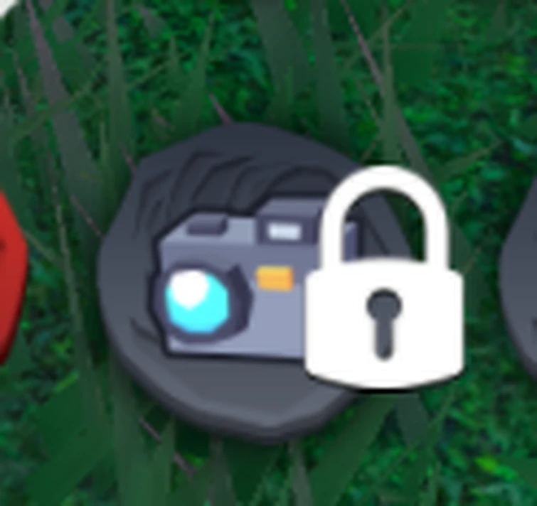 Camera Problems | Fandom