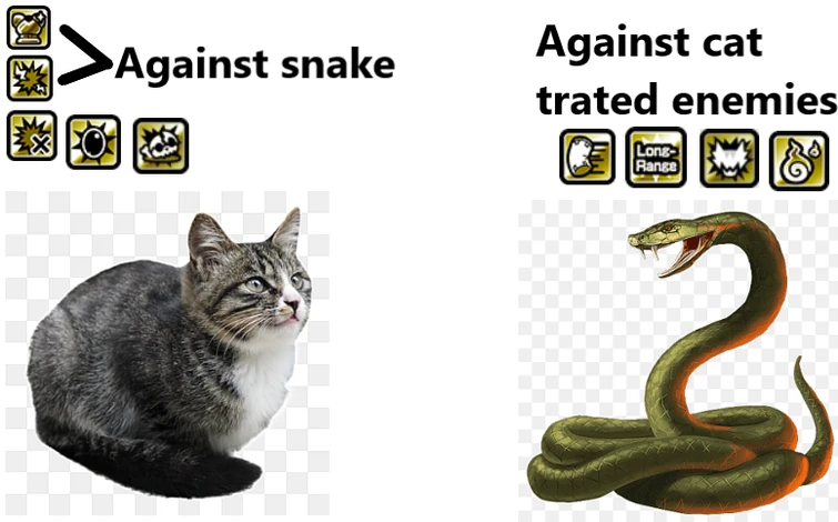 MY FIRST BATTLE CATS MEME | Fandom